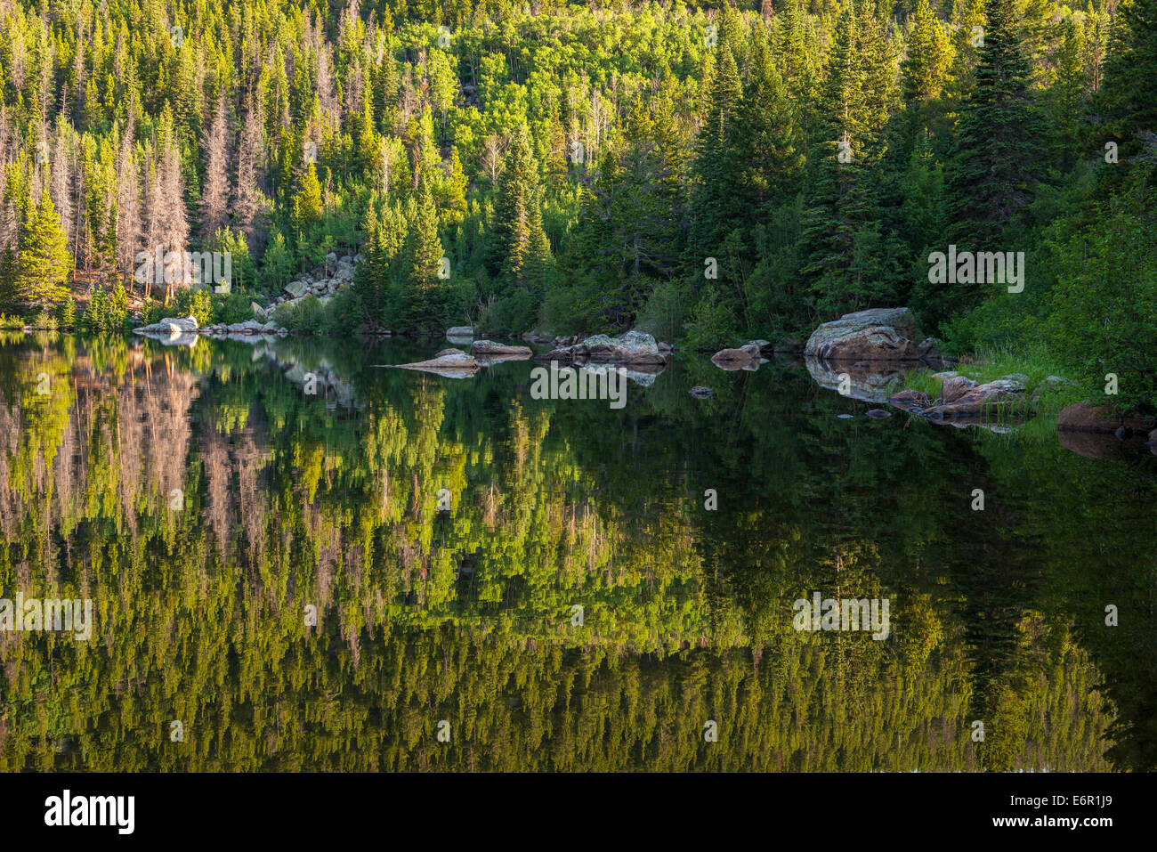 Symmetry park hi-res stock photography and images - Alamy