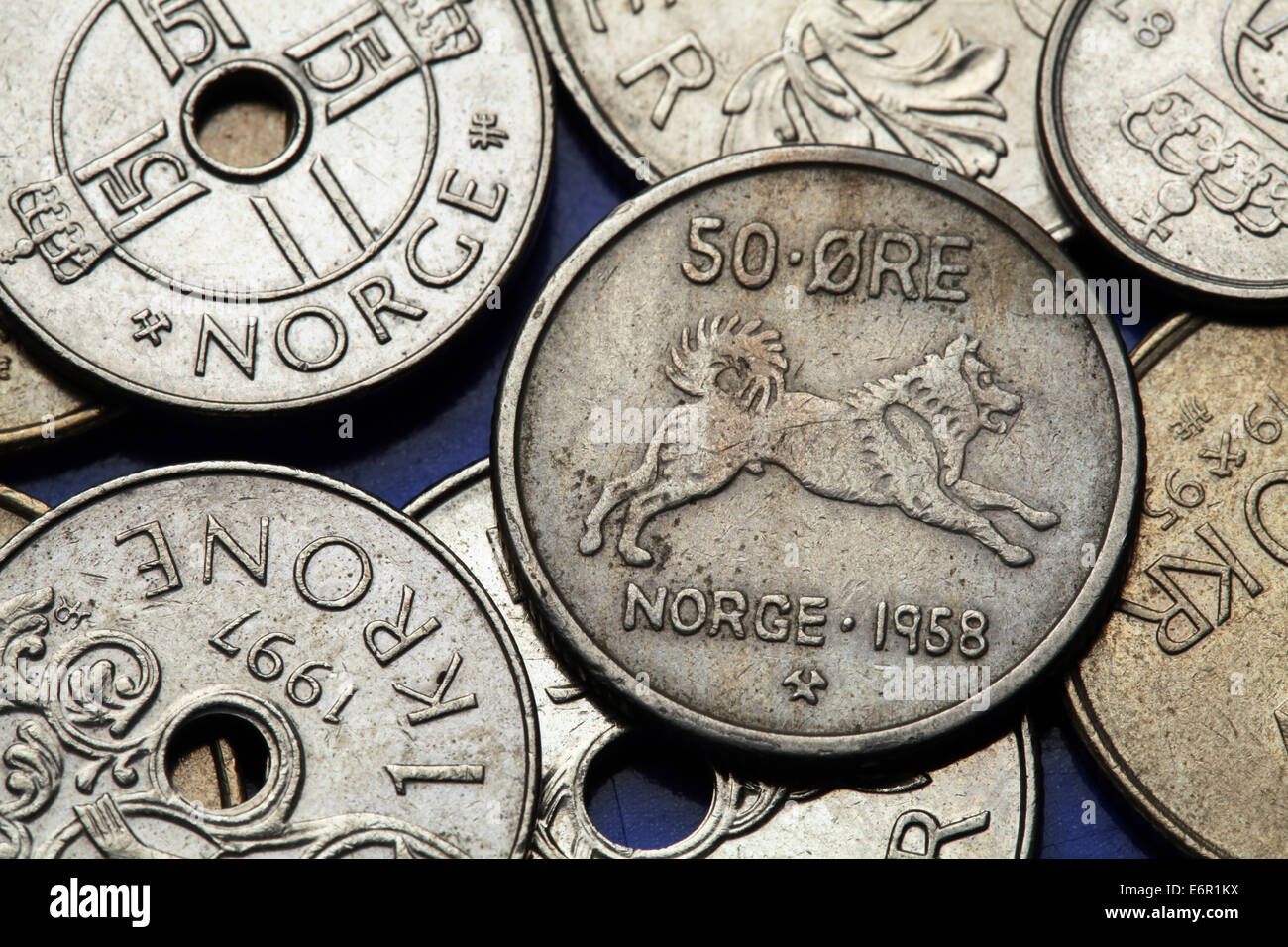 Coins of Norway. Norwegian Elkhound dog depicted in the Norwegian fifty ...