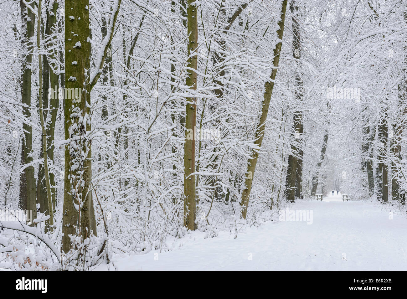 Welper hi-res stock photography and images - Alamy