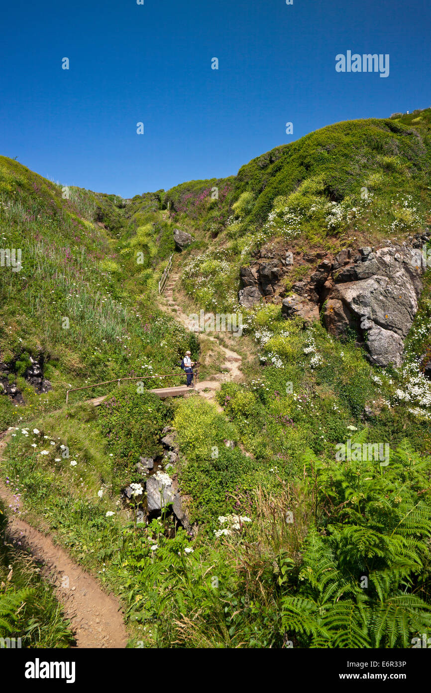 The South West Coastal Footpath is very narrow above Housel Cove on the ...