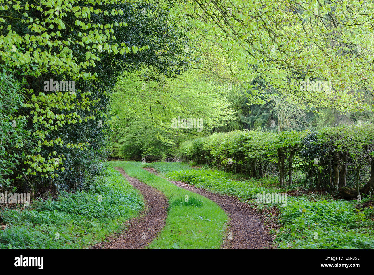 Goldenstedt vechta lower saxony niedersachsen germany europe hi-res ...