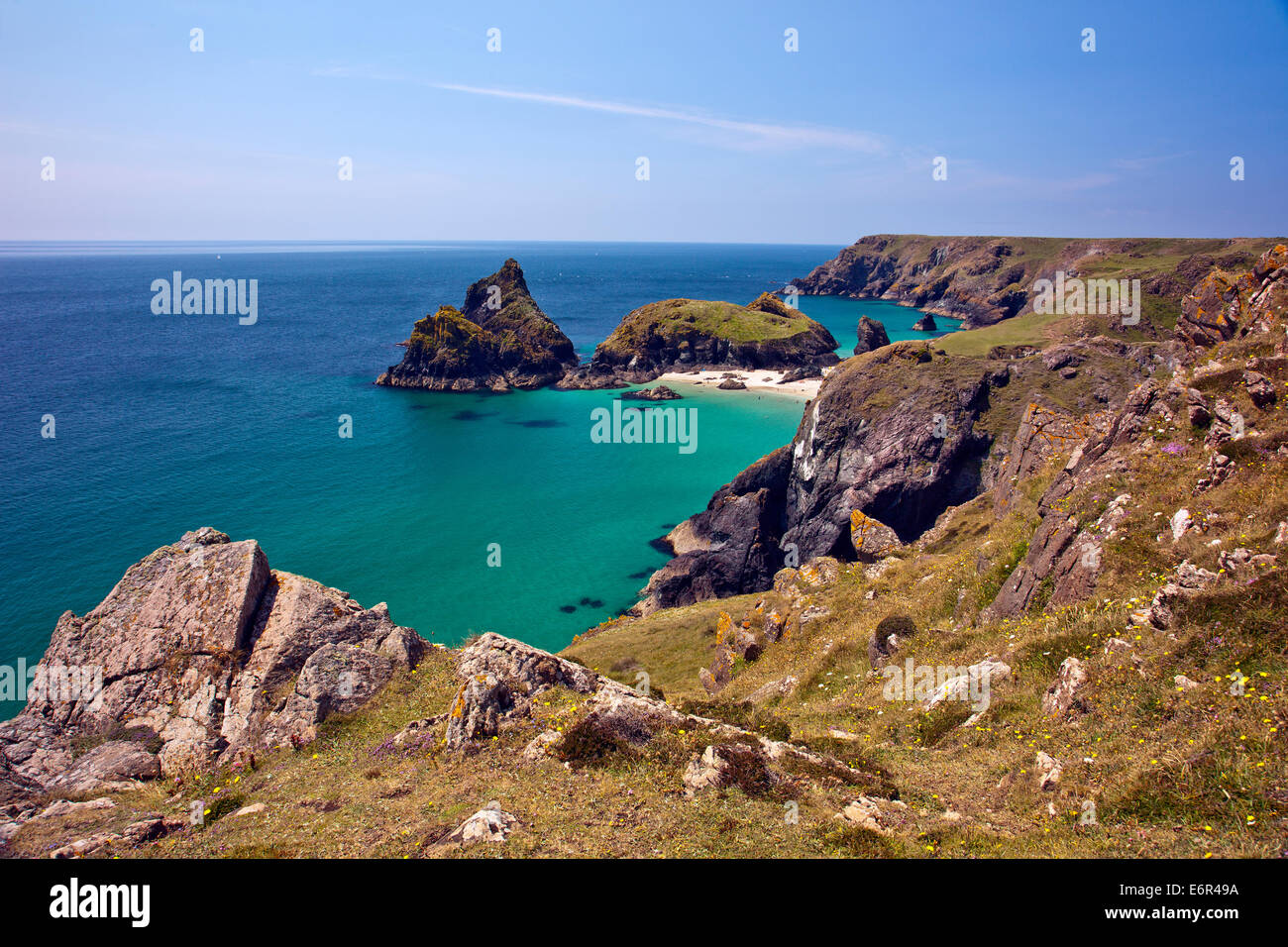 Lizard england hi-res stock photography and images - Alamy