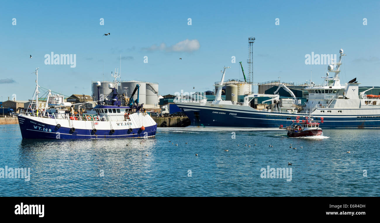 PETERHEAD HARBOUR ABERDEENSHIRE A TRAWLER A FACTORY SHIP AND SMALL ...