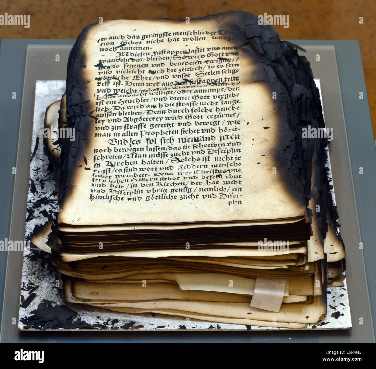 Damaged Library Book