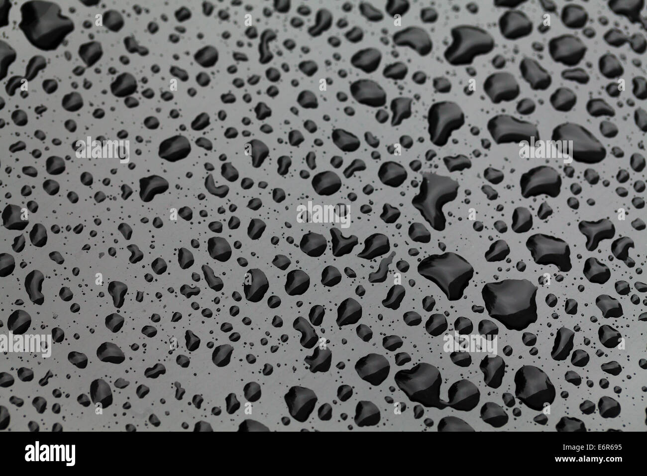drops of water-repellent surface over black Stock Photo - Alamy