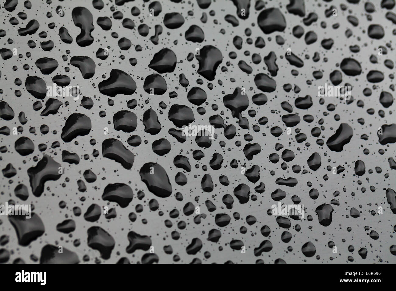 drops of water-repellent surface over black Stock Photo - Alamy