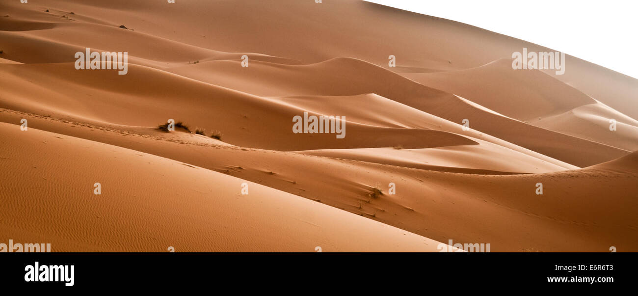 Sand dunes in Sahara Desert in the sunrise Stock Photo - Alamy
