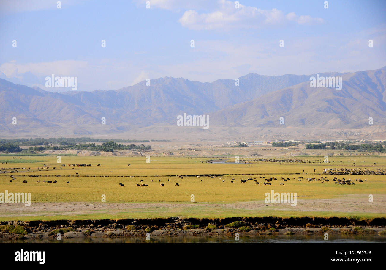 Laghman High Resolution Stock Photography and Images - Alamy