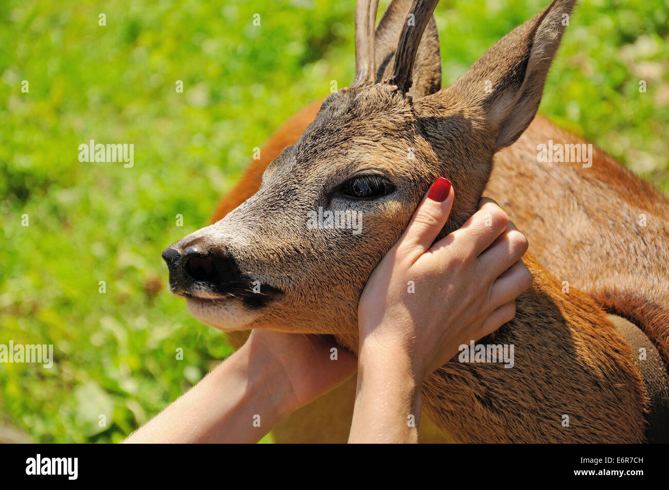 Caress face hi-res stock photography and images - Alamy