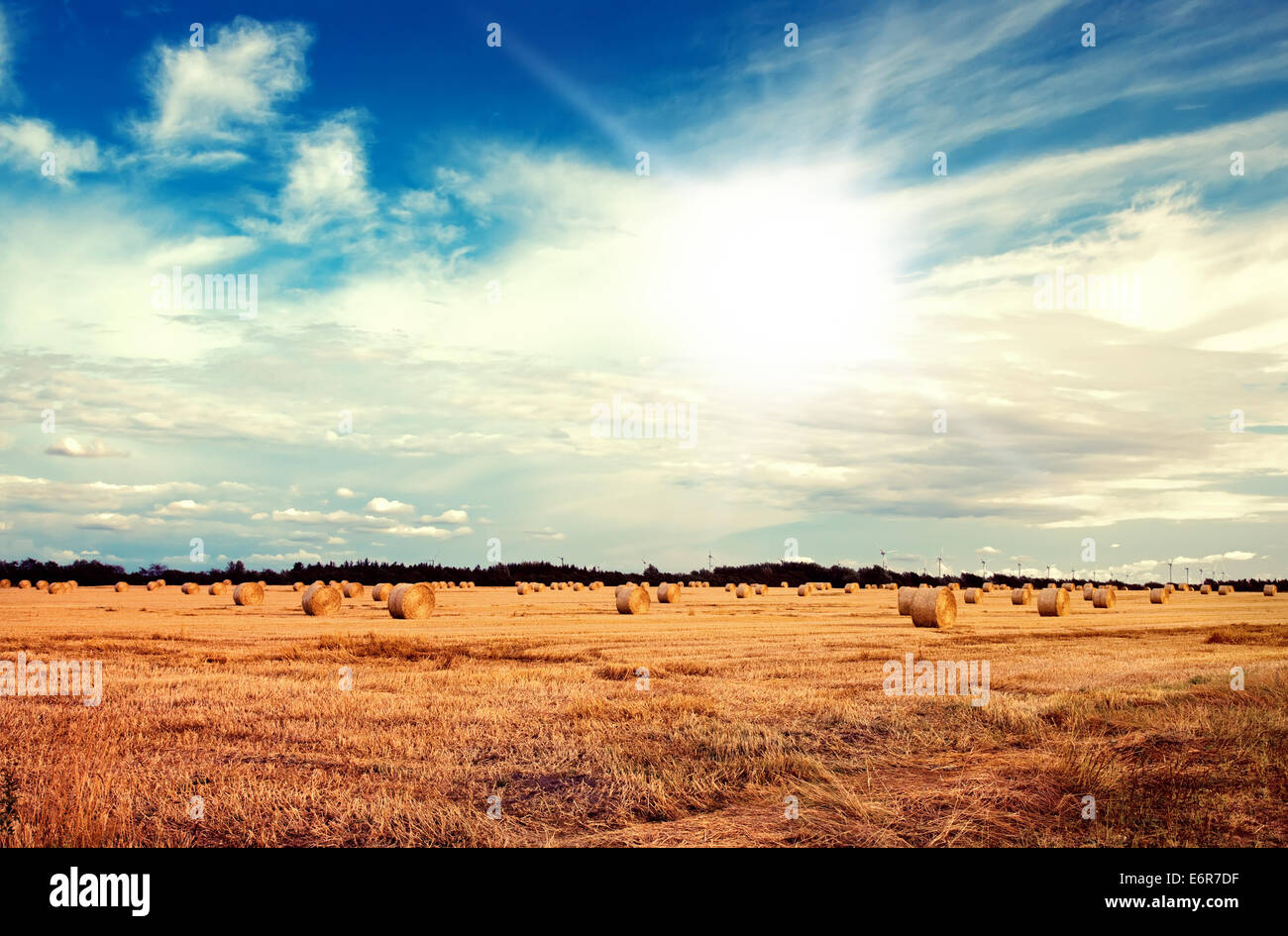 straw bales on farmland Stock Photo - Alamy