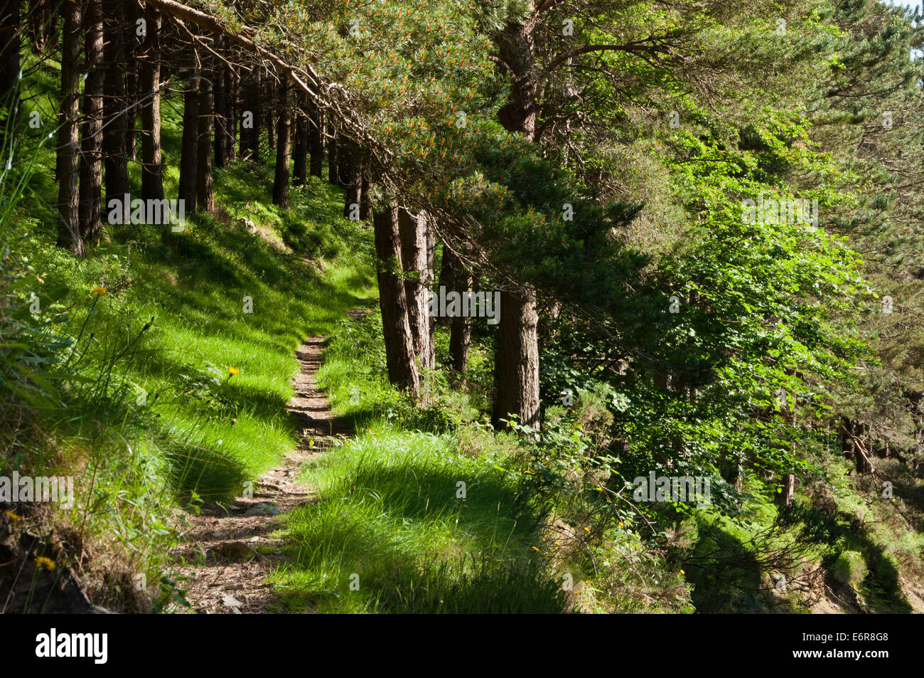 Wicklow walking trail hi-res stock photography and images - Alamy