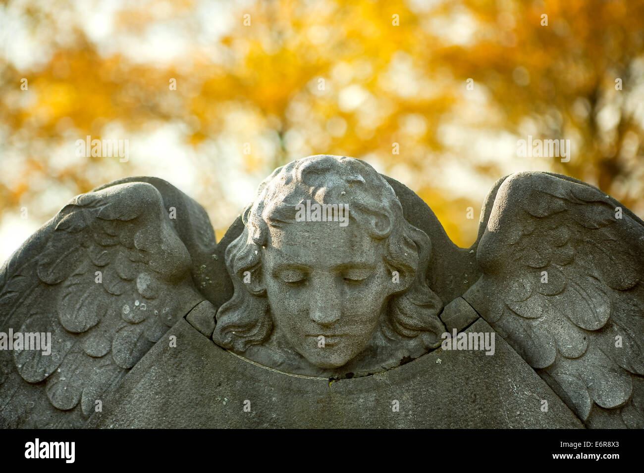 Stone angel guarding a tombstone on All Saint's day in autumn Stock ...