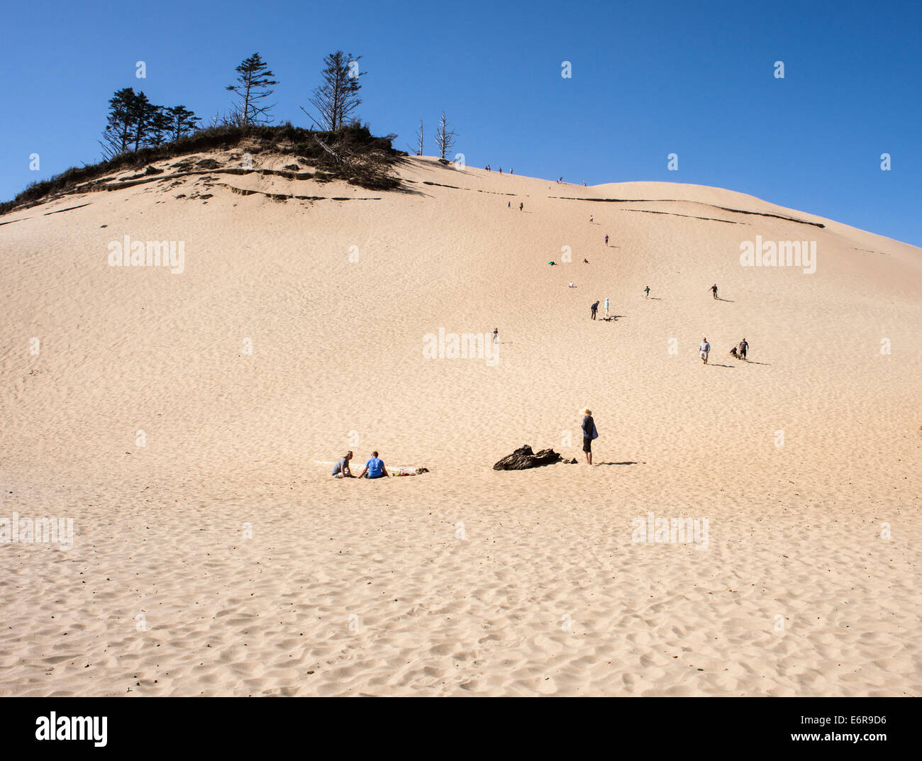 People climbing and playing on the giant sand dune at Pacific City on ...