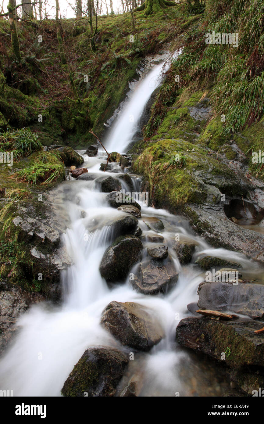 Holme wood hi-res stock photography and images - Alamy