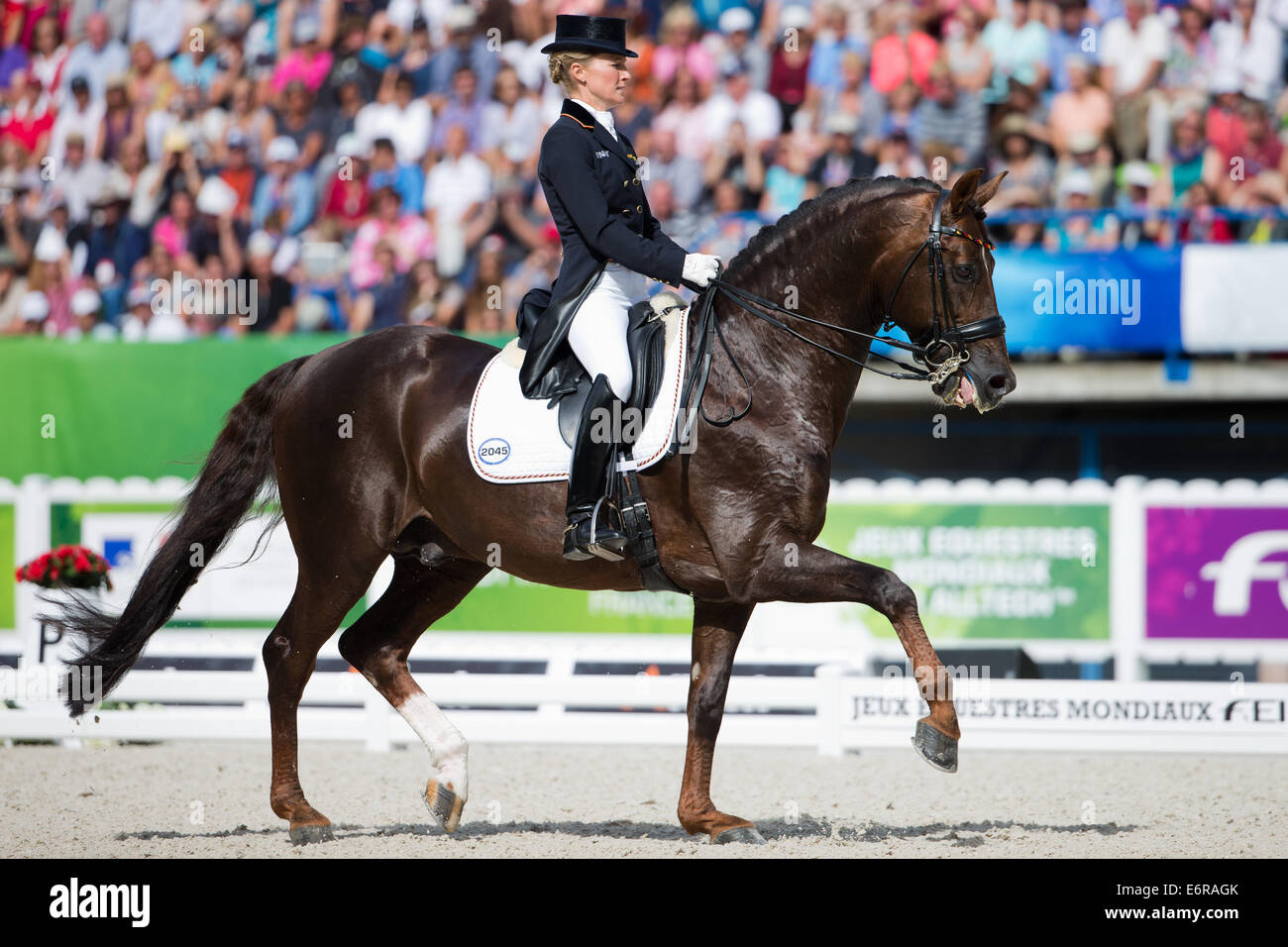 Caen, France. 29th Aug, 2014. Rider Helen Langehanenberg of Germany on ...