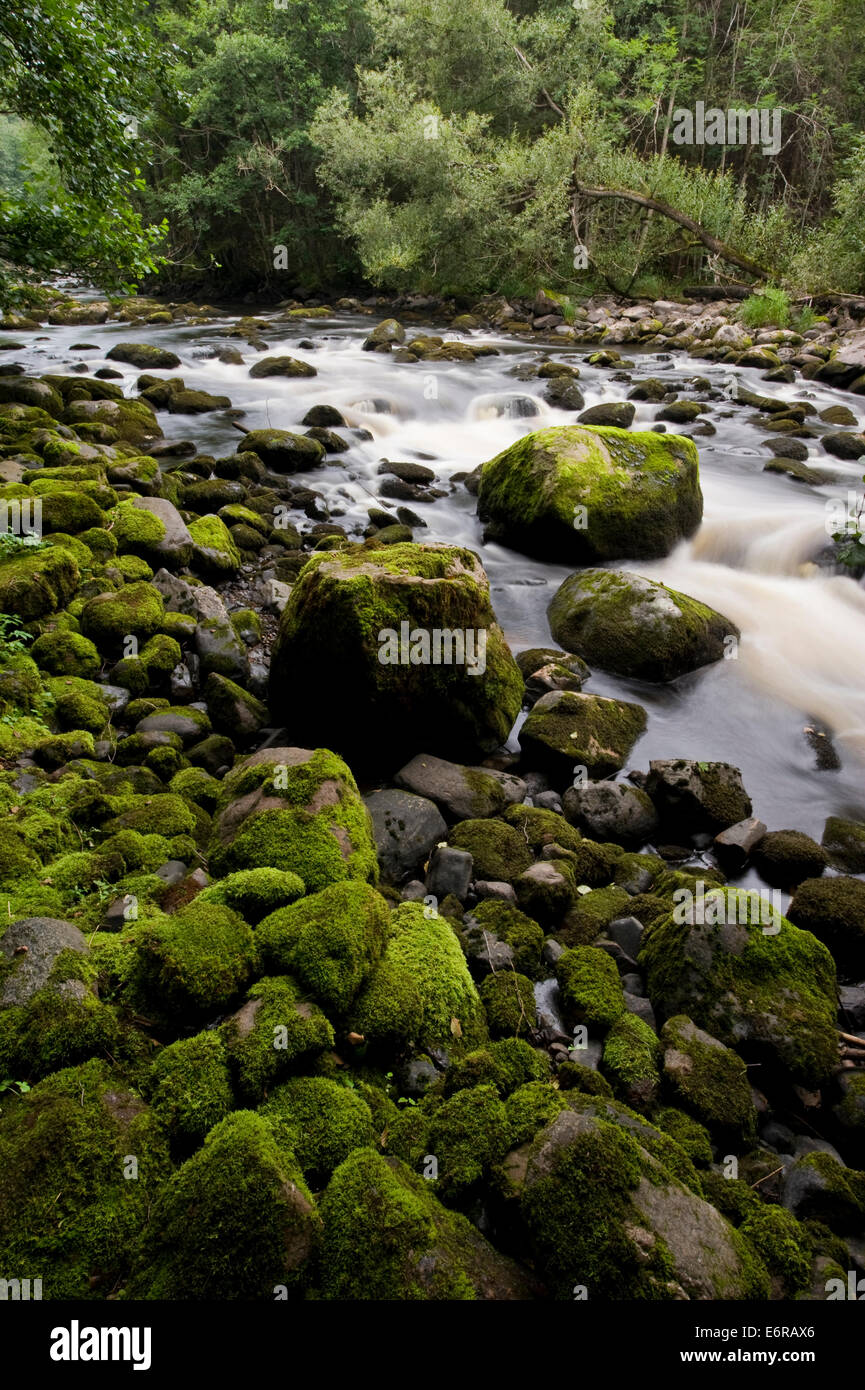 A lush landscape by the river Stock Photo - Alamy