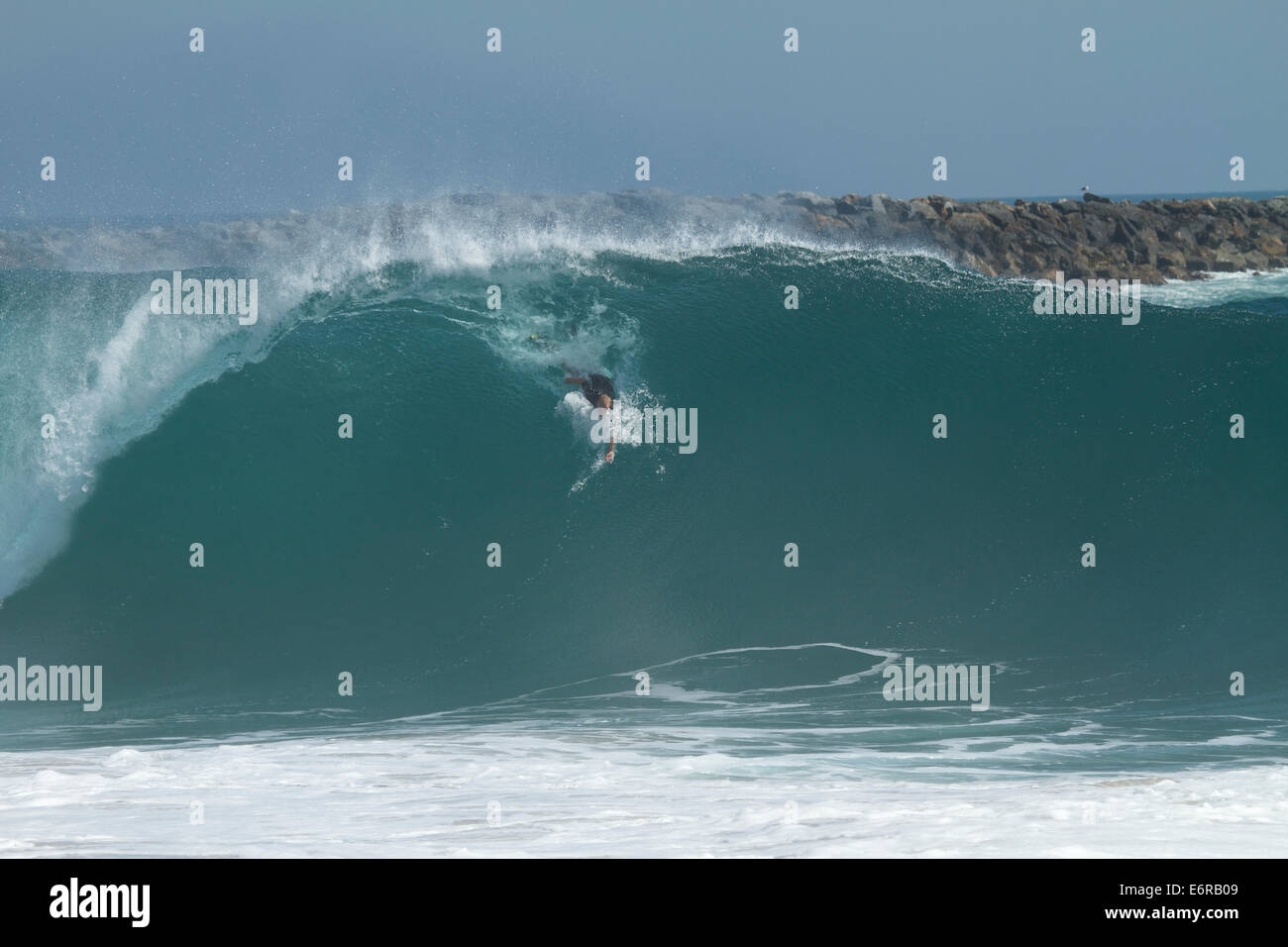 Surfers riding the huge surf created by Hurricane Marie in the Pacific ...