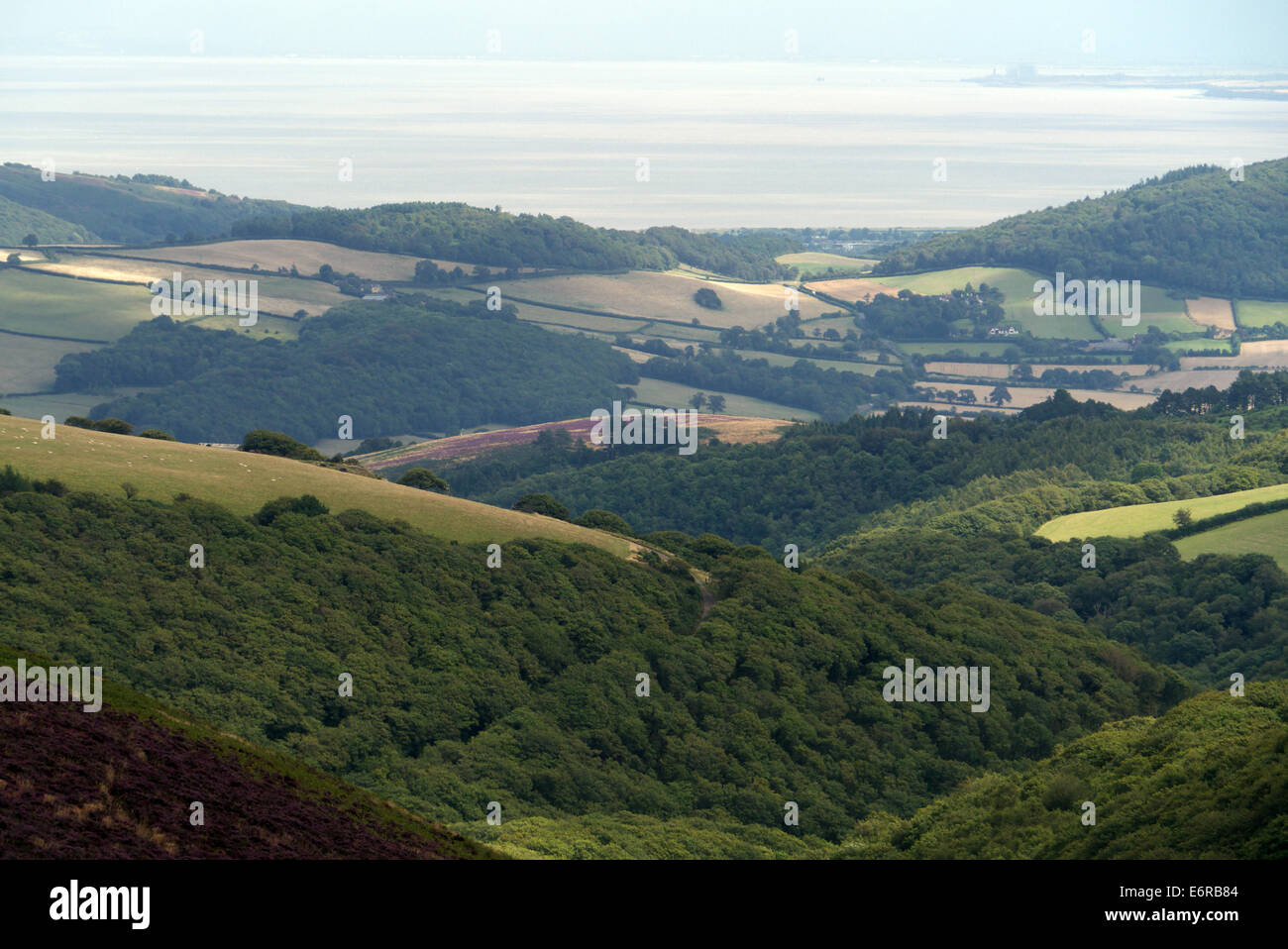 Exmoor, Somerset, England, UK Stock Photo - Alamy