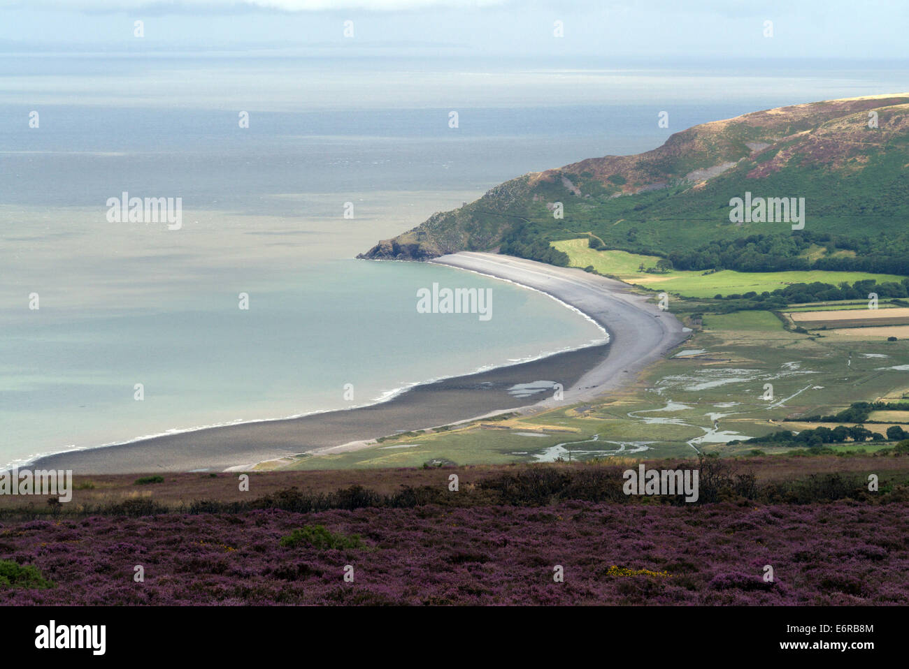Exmoor coast near Porlock, Somerset, England showing heather in bloom ...