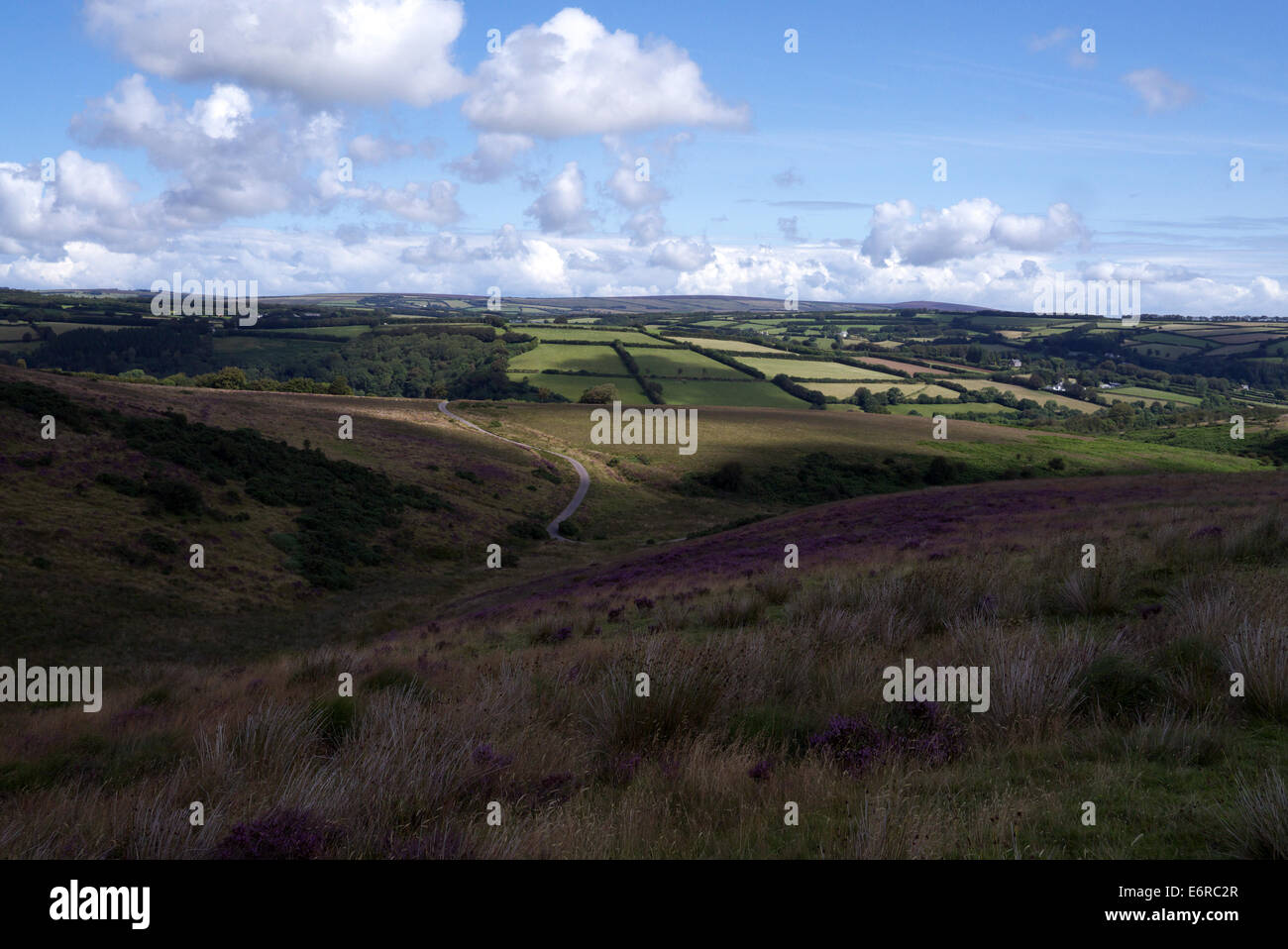 Exmoor, Somerset, England, UK Stock Photo - Alamy