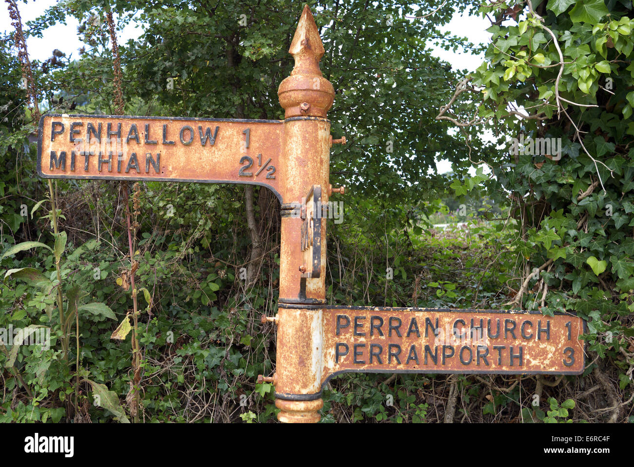 Rust Sign Orthopedic Test