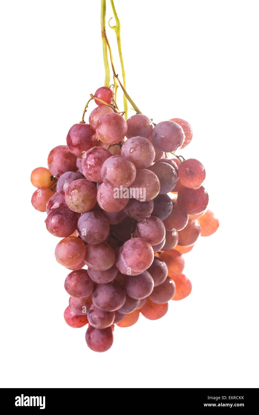 Big red grapes isolated on white background Stock Photo - Alamy
