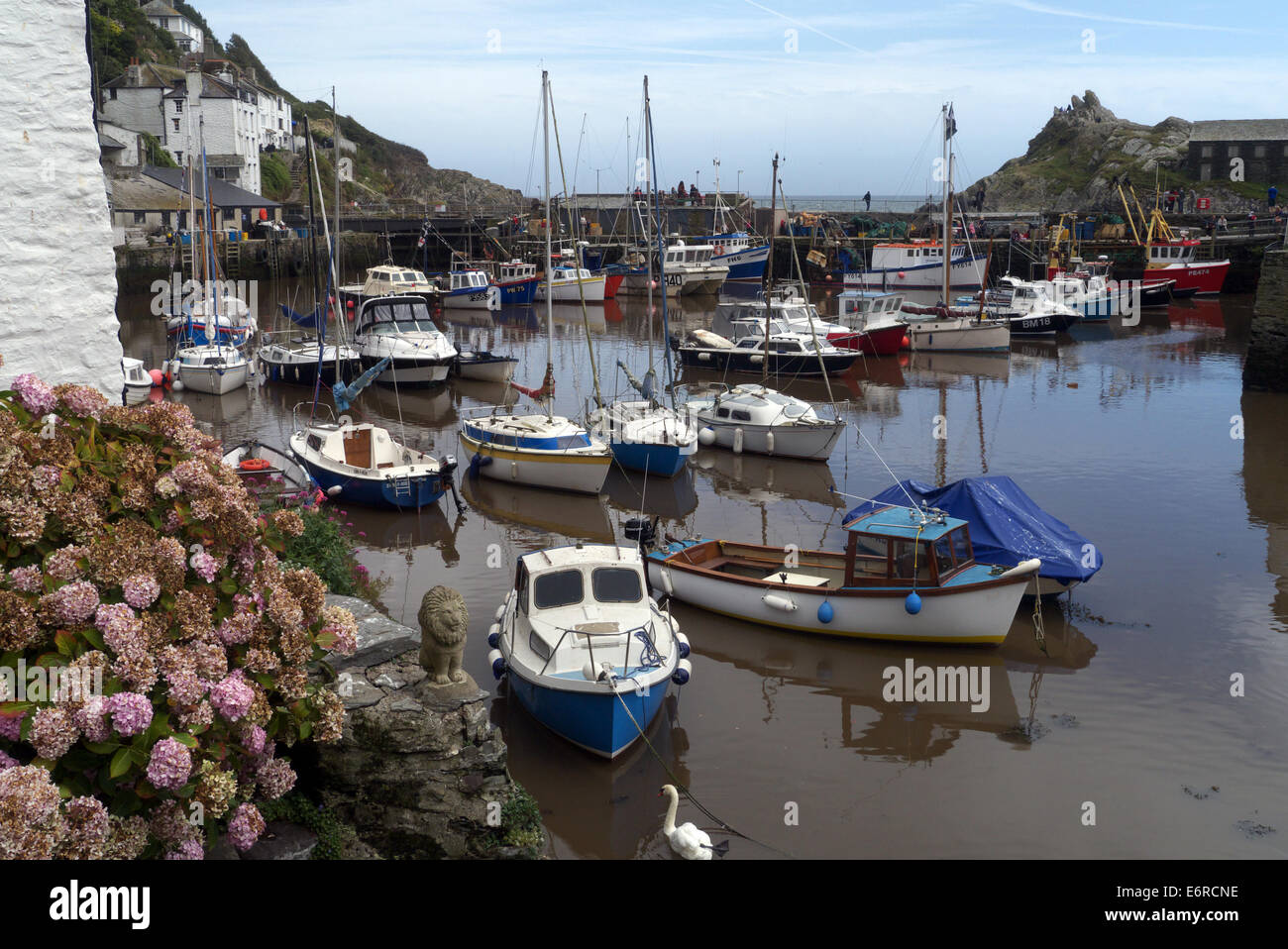 Polperro, Cornwall, England, UK. Fishing boats in harbour, water turned ...