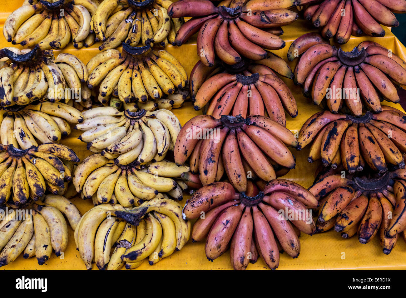 Mexico Market Fruit In Oaxaca High Resolution Stock Photography and ...