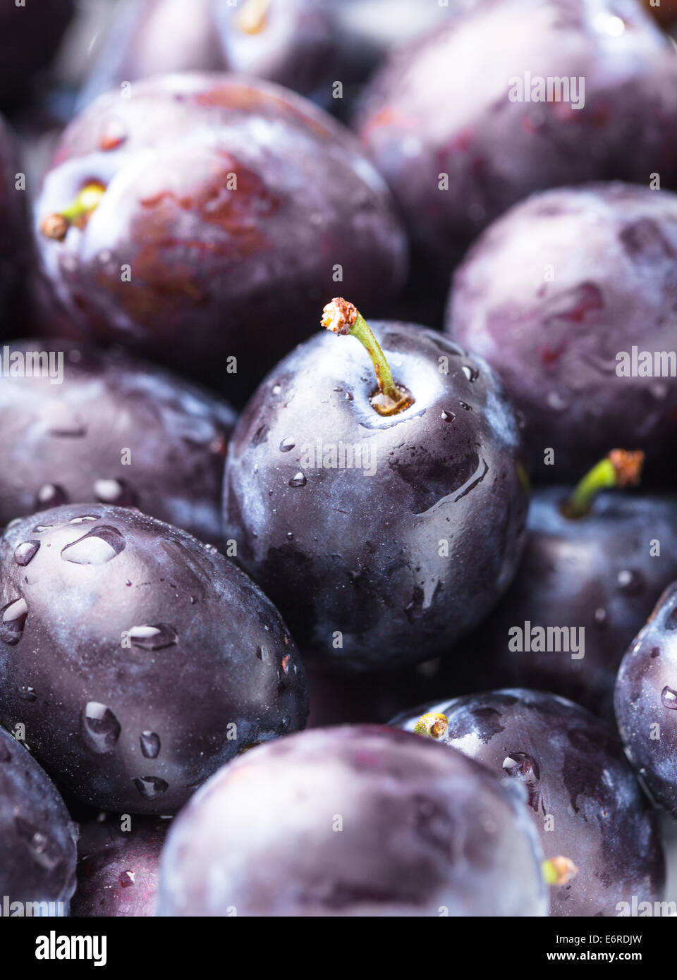 Fleshy wet plums close up as a background Stock Photo - Alamy
