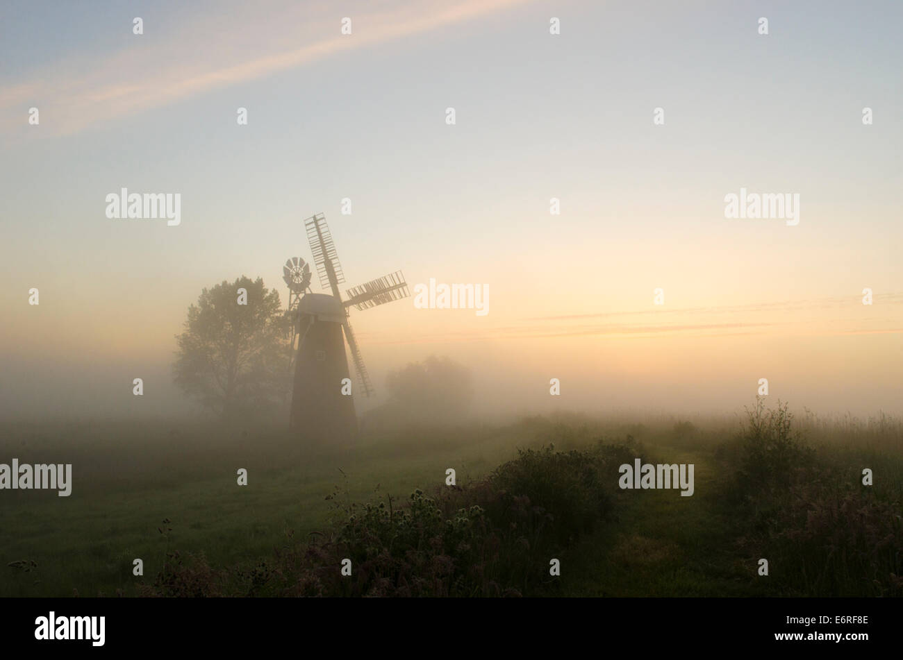 Hardley Drainage Mill, River Yare, Norfolk Broads, June. Dawn Stock ...