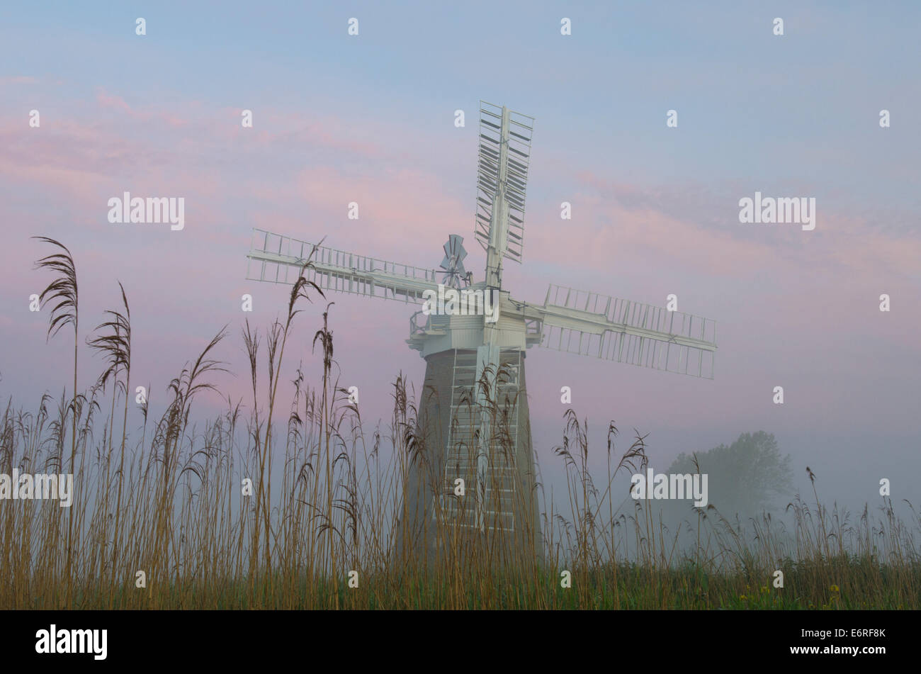 Mist trees windmill sails hi-res stock photography and images - Alamy