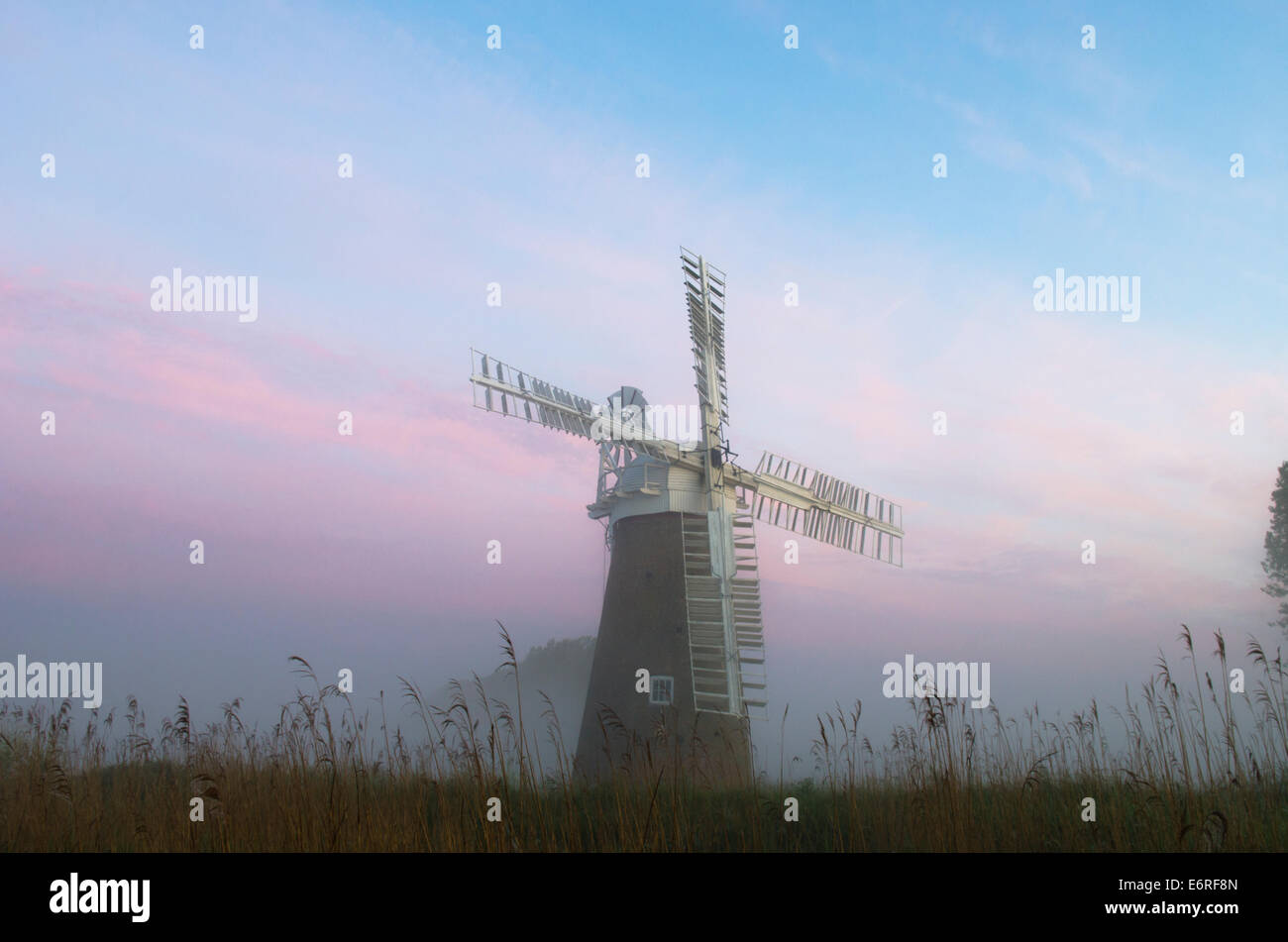 Hardley Drainage Mill, River Yare, Norfolk Broads, June. Dawn Stock ...