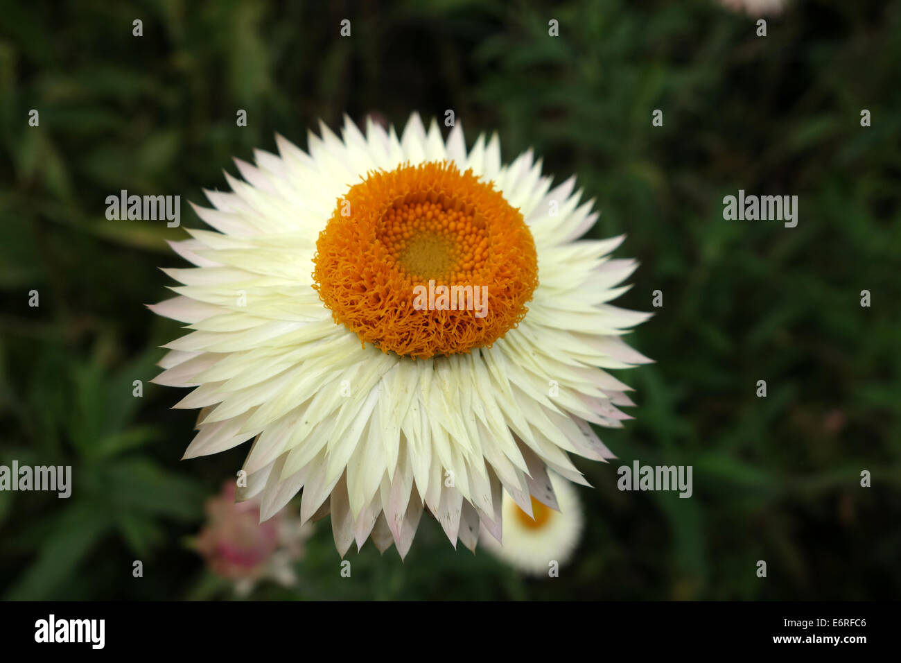 Skynet High Resolution Stock Photography and Images - Alamy