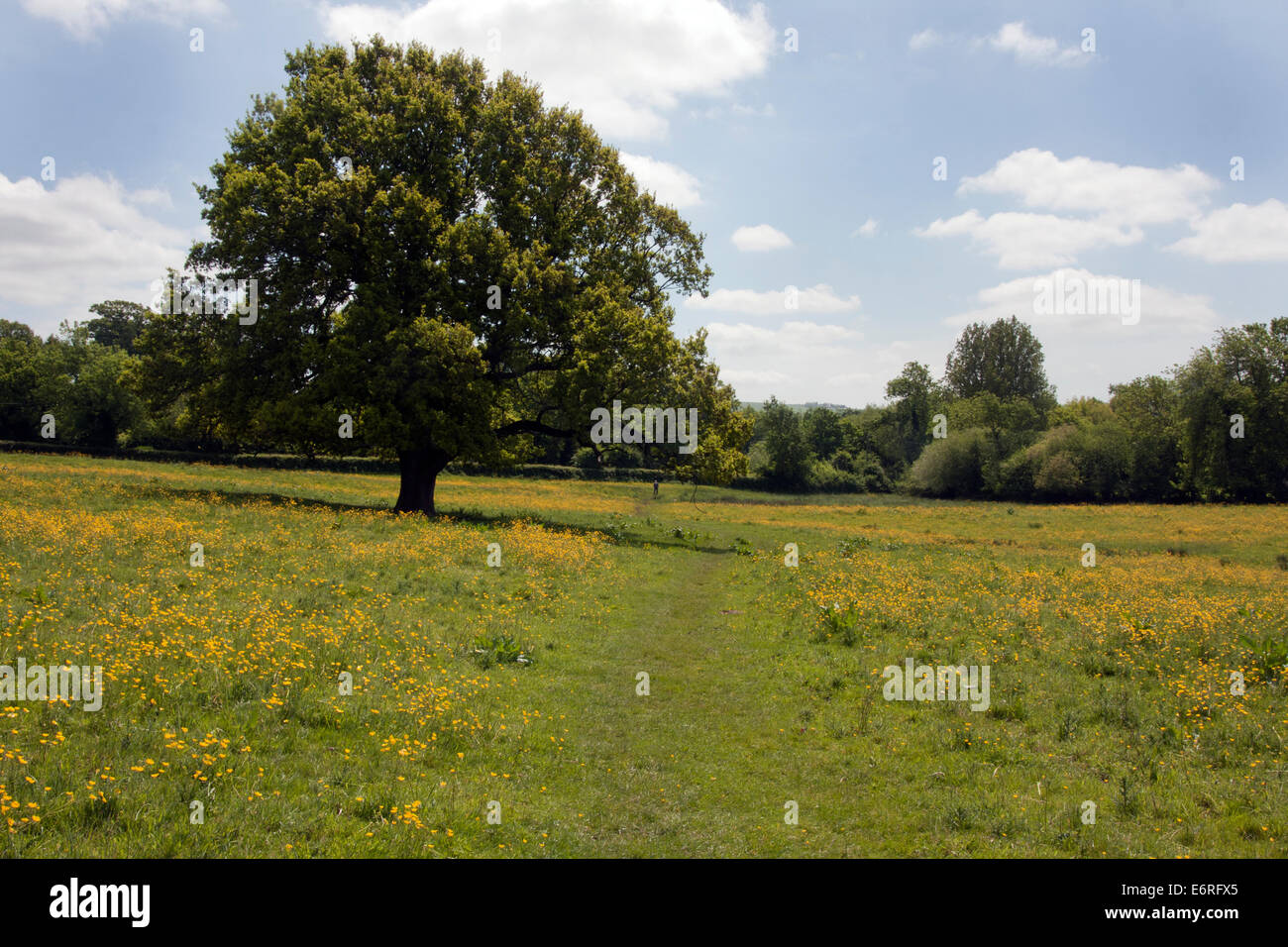 Hurstpierpoint hi-res stock photography and images - Alamy