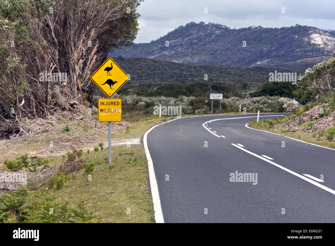 Australian Wildlife Road Signs Kangaroo and Wildlife on a Road Trip ...