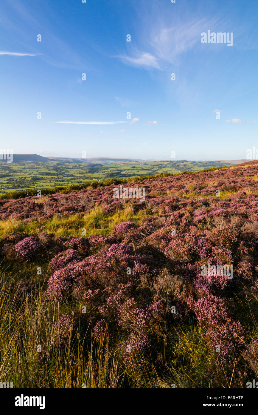Longridge point hi-res stock photography and images - Alamy