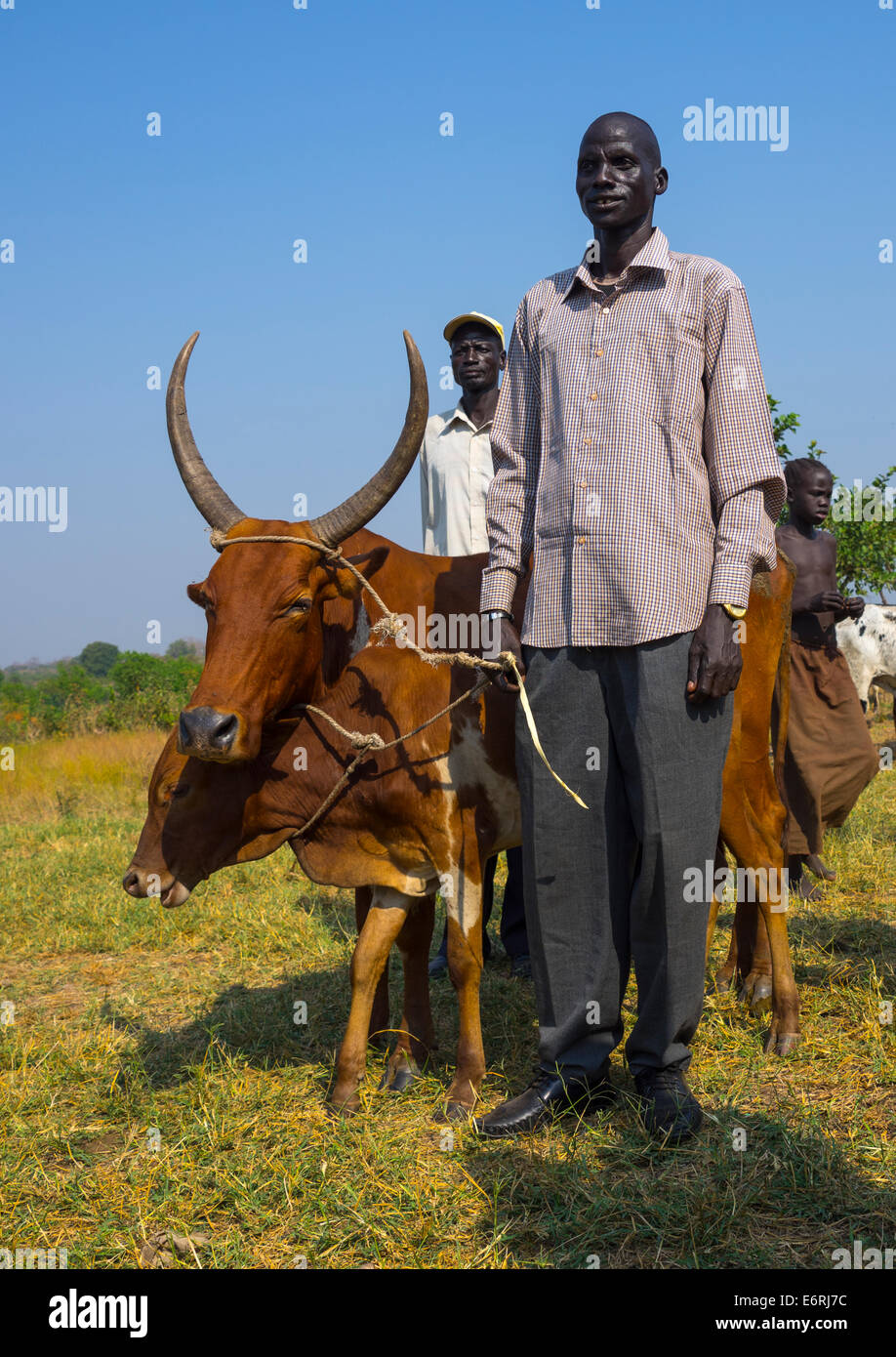 Nuer cattle ethiopia hi-res stock photography and images - Alamy