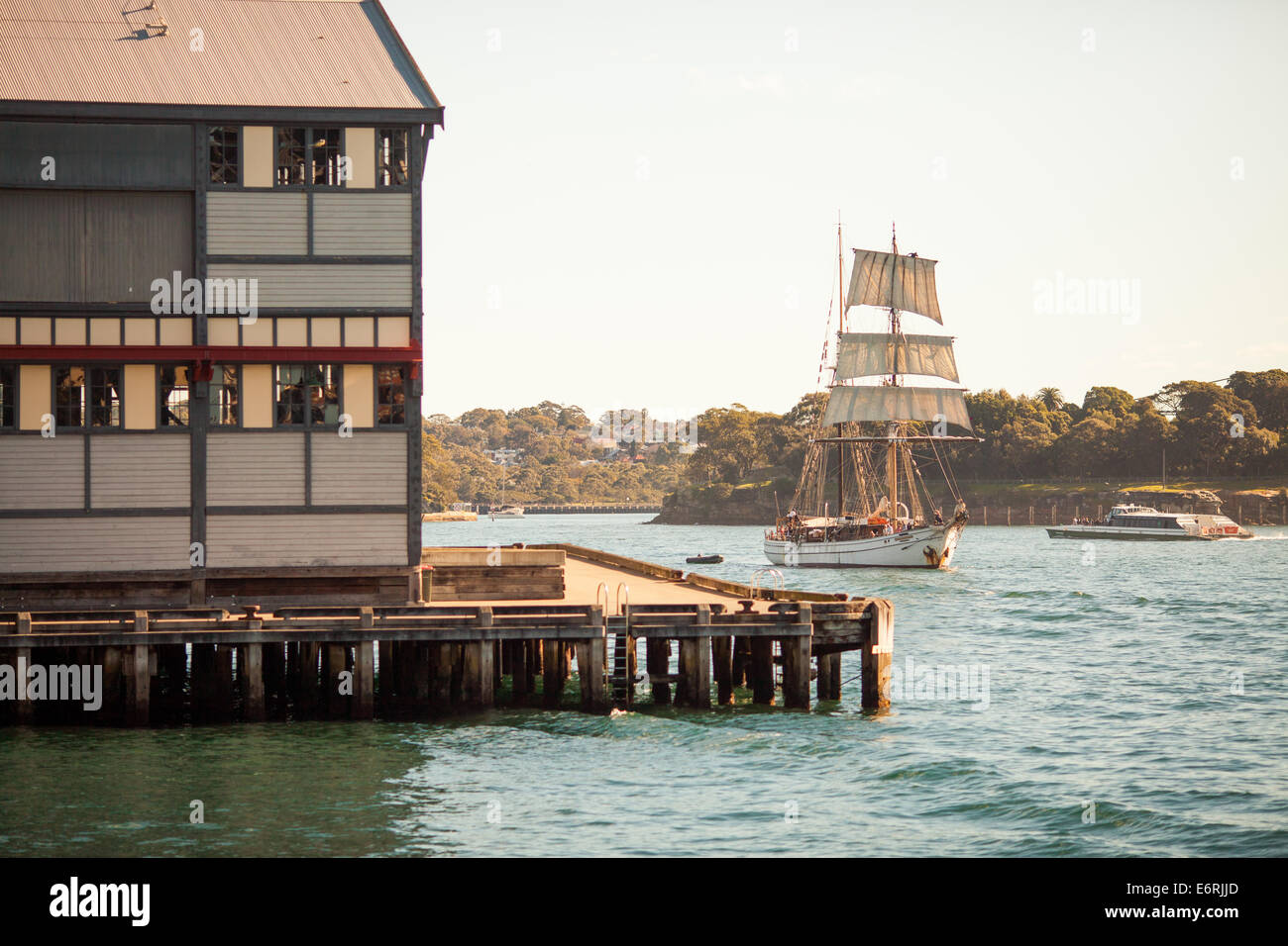 An old square-rigger sailing on Sydney Harbour, Australia Stock Photo ...