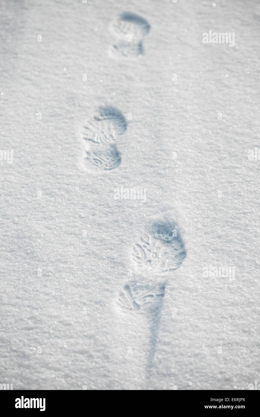 Cold footprint hi-res stock photography and images - Alamy