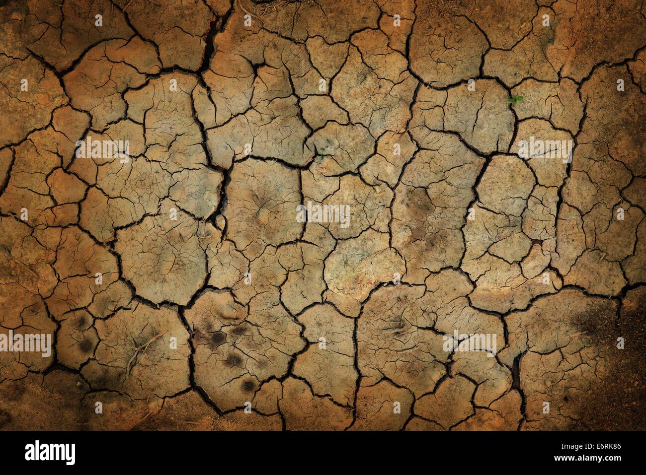 Cracked earth background or texture. Symbol of drought Stock Photo - Alamy