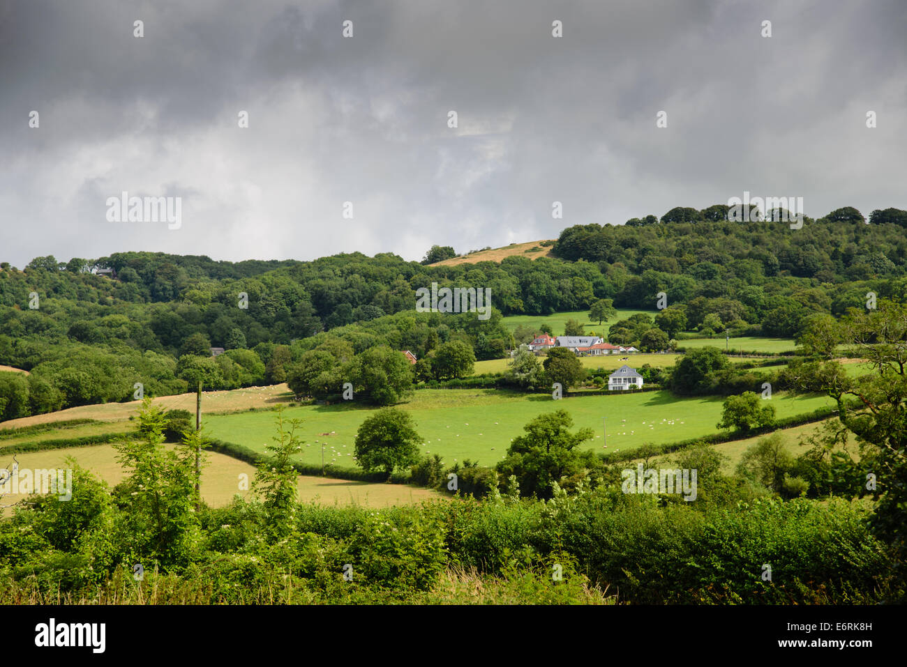 Countryside view in Somerset Stock Photo - Alamy