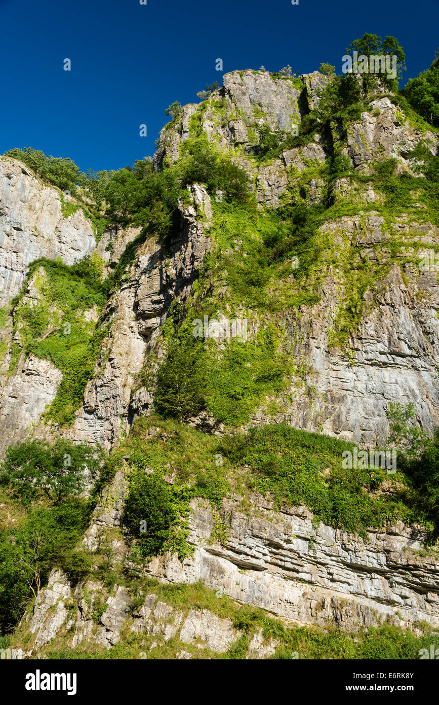 Cheddar Gorge in Cheddar, Somerset, England, UK Stock Photo - Alamy