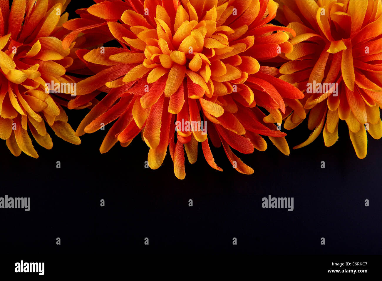 Cornucopia Thanksgiving decoration,black background Stock Photo - Alamy