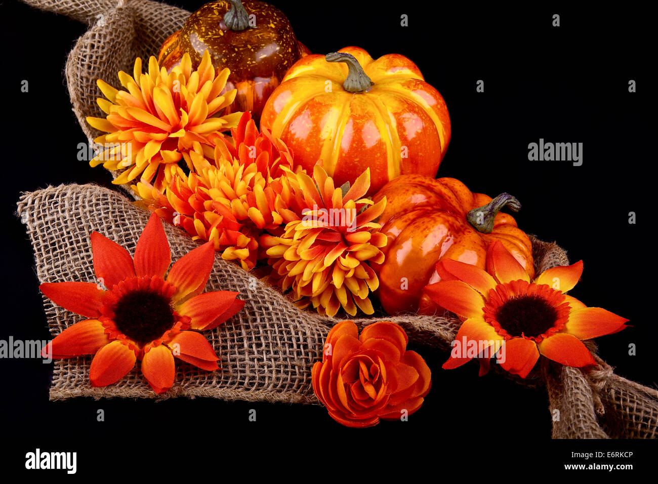 Cornucopia Thanksgiving decoration,black background Stock Photo - Alamy
