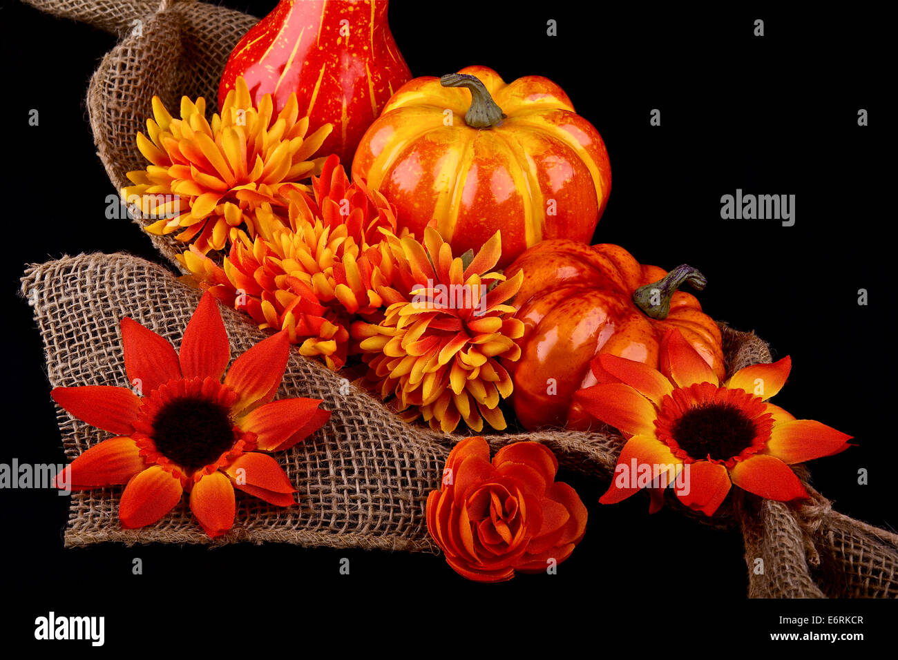 Cornucopia Thanksgiving decoration,black background Stock Photo - Alamy