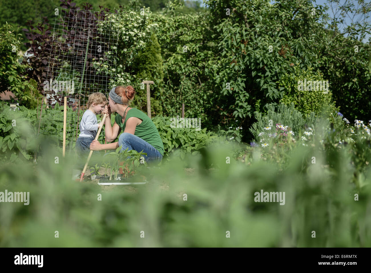 Child growing herbs hi-res stock photography and images - Alamy