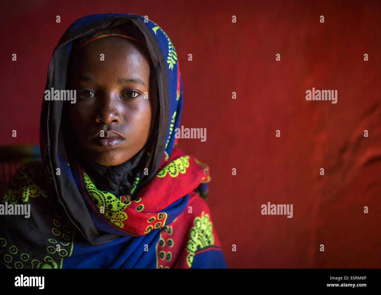 Miss Aki Tuna, Borana Tribe Girl, Elwoye, Ethiopia Stock Photo - Alamy