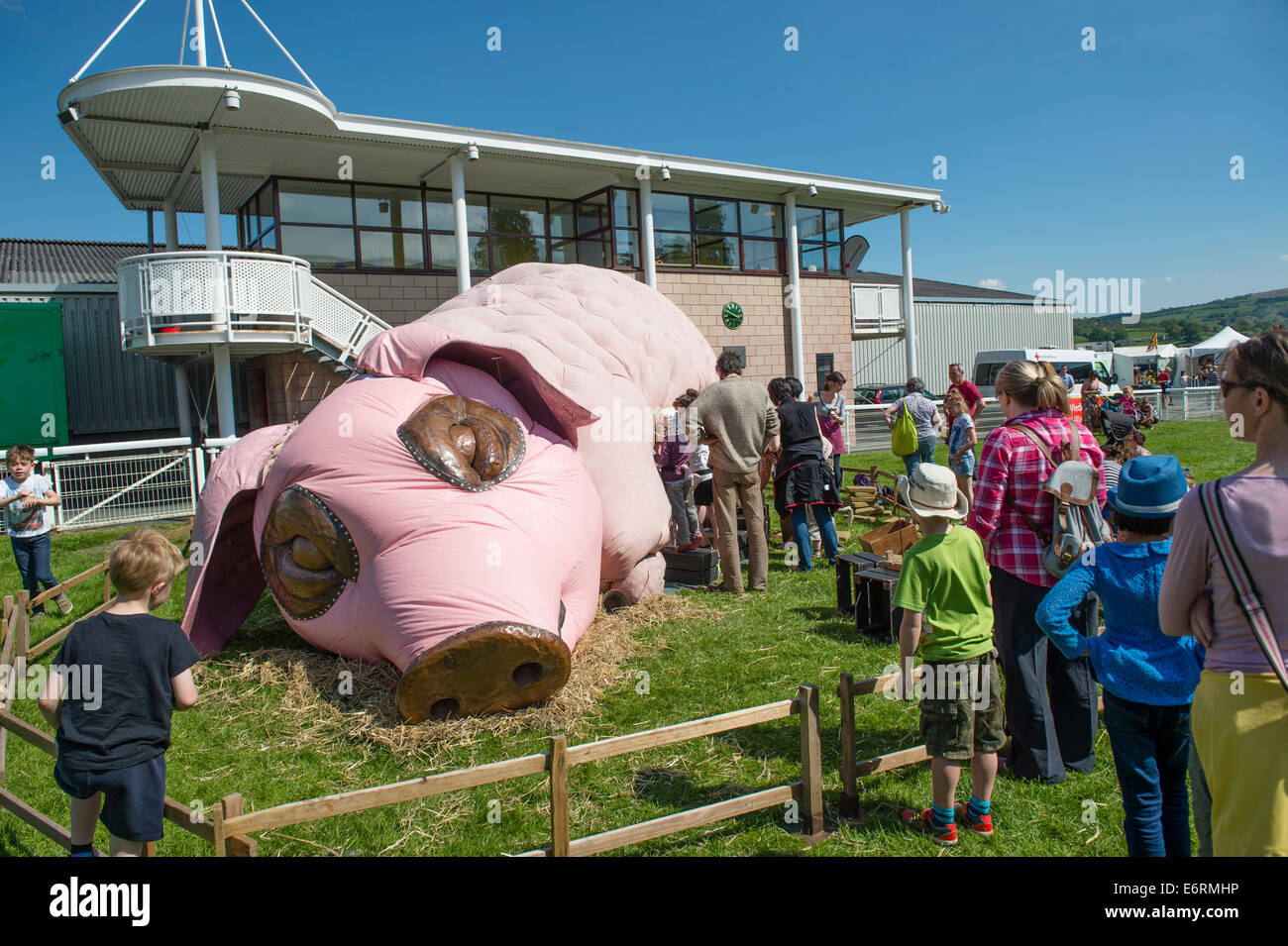 The giant Pink Pig - an unusual quirky inflatable theatre performance ...