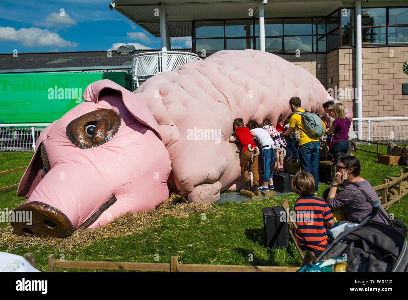 Children looking into the Giant Pink Pig - an unusual quirky inflatable ...