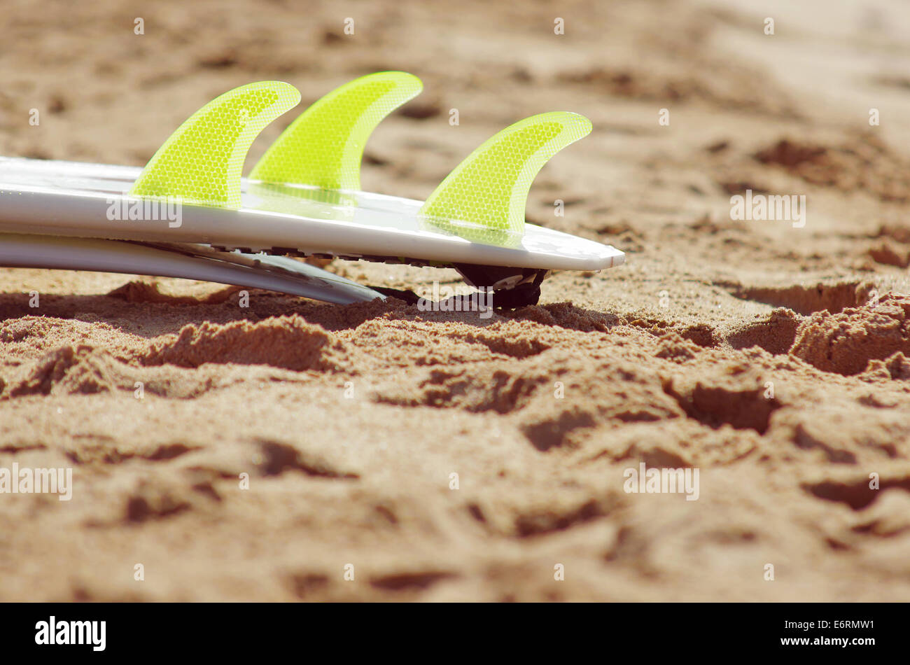 Detail of surfboard green fins resting on the wet sand of a beach Stock ...